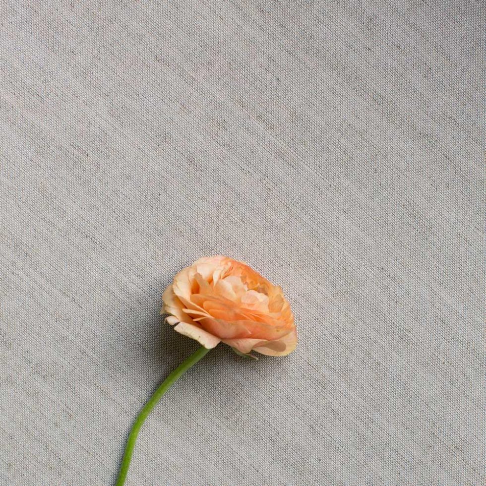 Modern Bouquet Preservation | The Botanical Bouquet UK