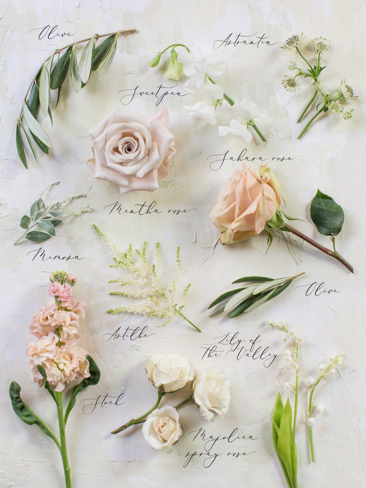 Modern Bouquet Preservation | The Botanical Bouquet UK