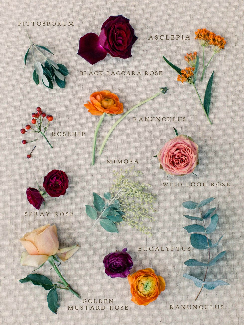 Modern Bouquet Preservation | The Botanical Bouquet UK