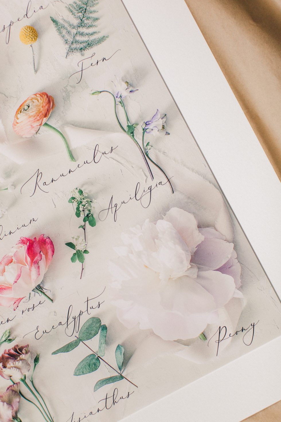 Modern Bouquet Preservation | The Botanical Bouquet UK