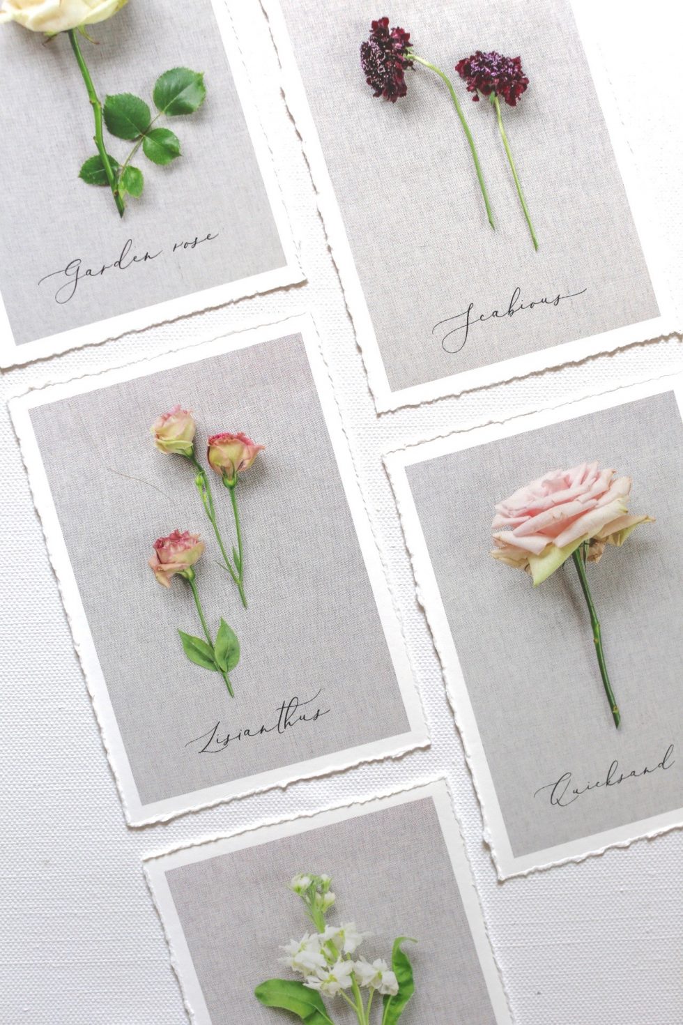 Modern Bouquet Preservation | The Botanical Bouquet UK